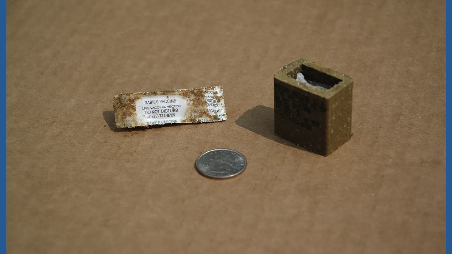 USDA launches annual rabies vaccine drop across Georgia and the ...