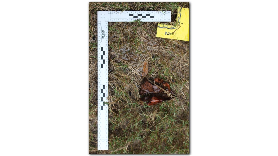 Inside the case file of the Tamla Horsford death investigation ...