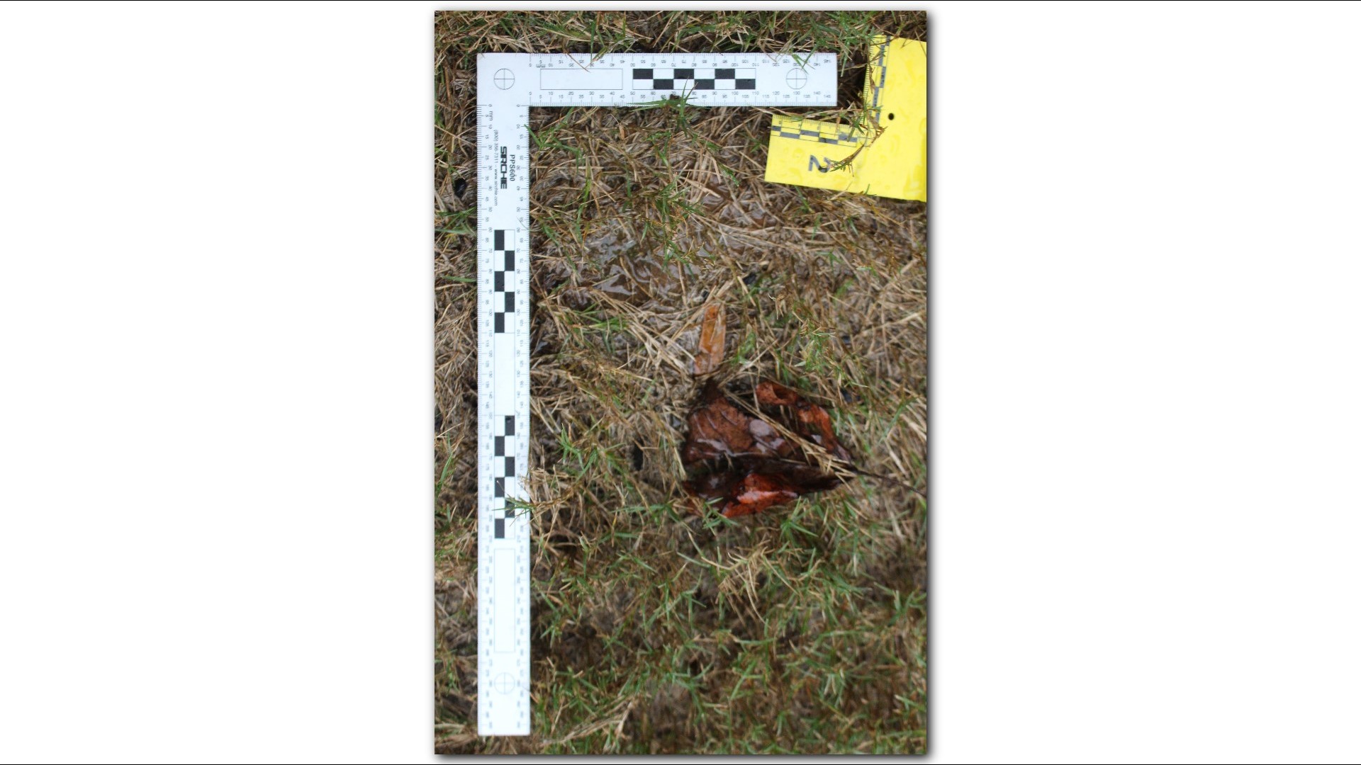 Inside the case file of the Tamla Horsford death investigation ...